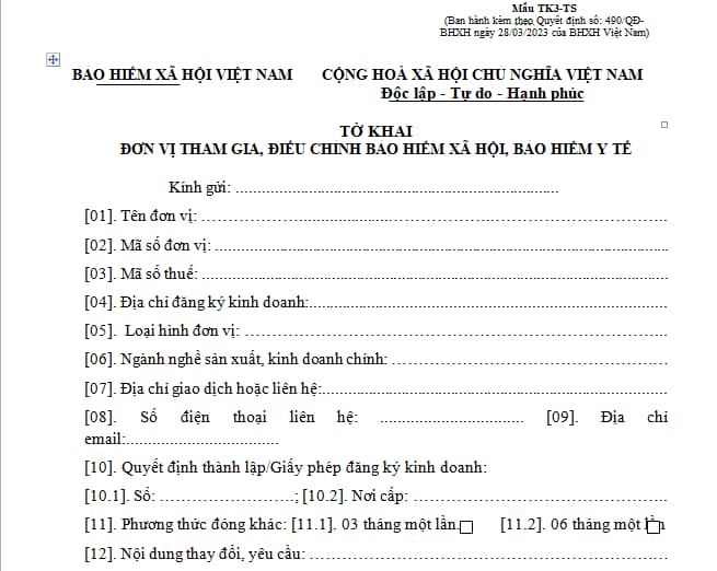 Tải về mẫu TK3-TS mới nhất hiện nay? Tiền lương ngừng việc có đóng bảo ...