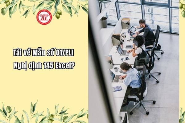 Tải về Mẫu số 01/PLI Nghị định 145 Excel? Thời hạn nộp báo cáo sử dụng ...
