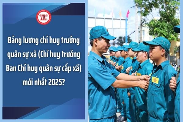 Bảng lương chỉ huy trưởng quân sự xã (Chỉ huy trưởng Ban Chỉ huy quân sự cấp xã) mới nhất 2025?