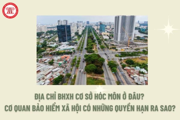 Địa chỉ BHXH cơ sở Hóc Môn ở đâu? Cơ quan bảo hiểm xã hội có những ...