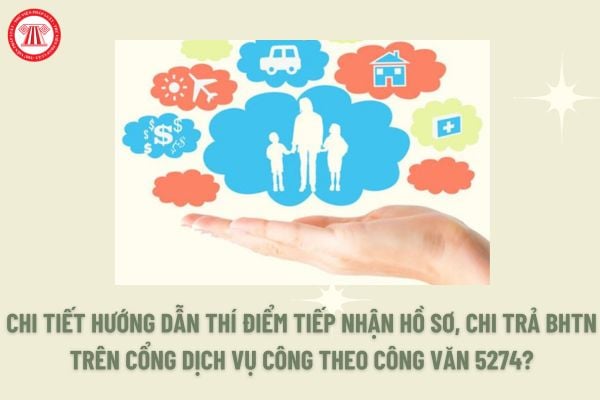 Chi tiết hướng dẫn thí điểm tiếp nhận hồ sơ, chi trả BHTN trên Cổng ...