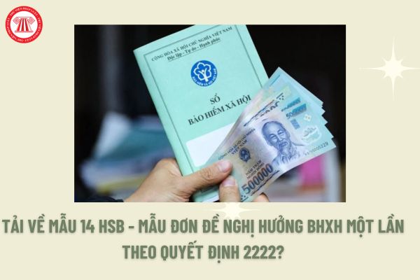 Tải về Mẫu 14 HSB - Mẫu đơn đề nghị hưởng BHXH một lần theo Quyết định 2222?