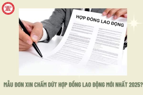 Mẫu đơn xin chấm dứt hợp đồng lao động mới nhất 2025? Trách nhiệm khi chấm dứt hợp đồng lao động ...