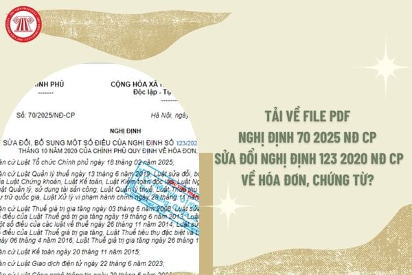 Tải về file PDF Nghị định 70 2025 NĐ CP sửa đổi Nghị định 123 2020 NĐ CP về hóa đơn, chứng từ?