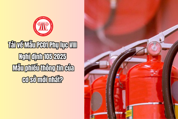 Tải về Mẫu PC01 Phụ lục VIII Nghị định 105 2025 Mẫu phiếu thông tin của ...