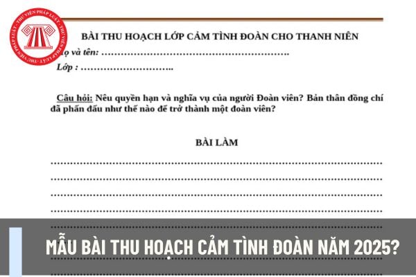 Mẫu bài thu hoạch cảm tình Đoàn năm 2025? Giáo viên trường THPT có ...