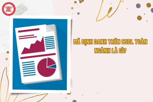 Mã định danh trên CSDL toàn ngành là gì? Cách tra cứu mã định danh dành ...