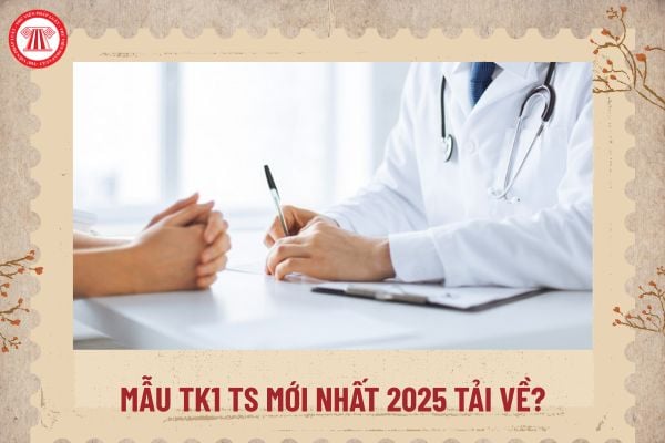 Mẫu TK1 TS mới nhất 2025 tải về? Quy định về quyền của người tham gia ...