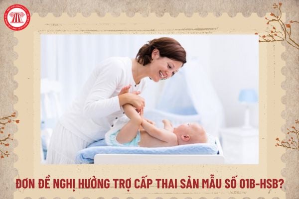 Đơn đề nghị hưởng trợ cấp thai sản mẫu số 01B-HSB? Trợ cấp thai sản được quy định như thế nào?